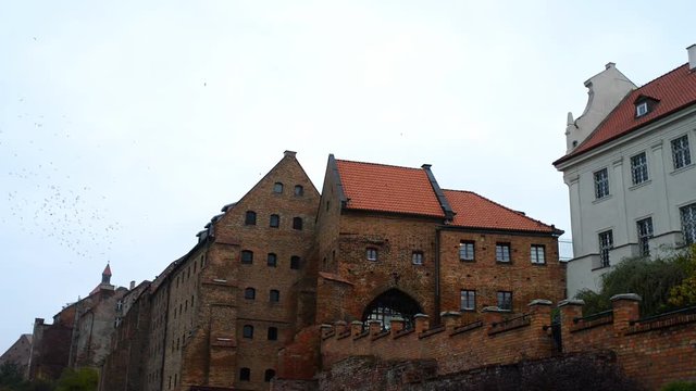 Graudenz Imagens – Procure 44 fotos, vetores e vídeos | Adobe Stock