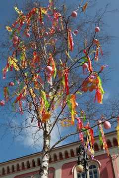 รูปภาพOstereierbaum – เลือกดูภาพถ่ายสต็อก เวกเตอร์ และวิดีโอ149 | Adobe ...