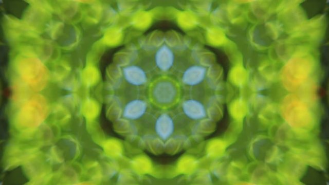 Sixangle bilder – Bläddra bland 87 stockfoton, vektorer och videor ...