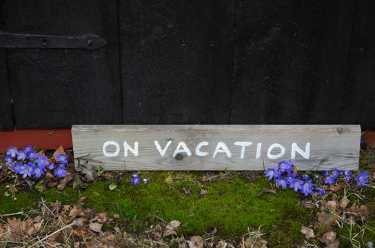 "On Vacation" Bilder – Durchsuchen 2,744 Archivfotos, Vektorgrafiken ...