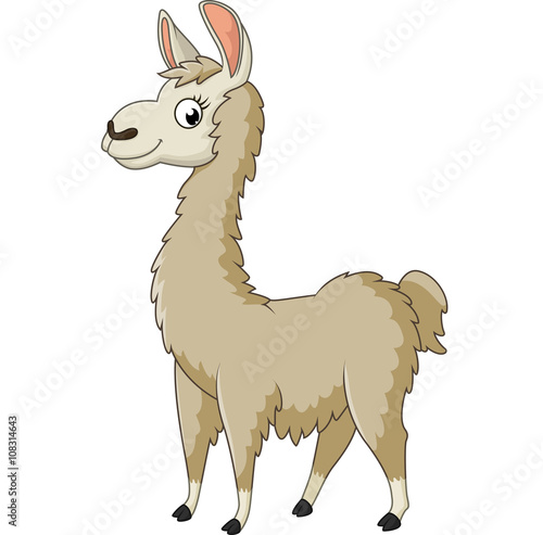 "Llama cartoon" Imágenes de archivo y vectores libres de derechos en ...