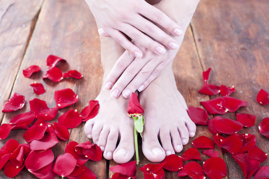 Pampering Images – Browse 597,390 Stock Photos, Vectors, and Video ...