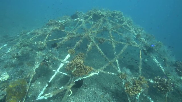 Biofouling Images – Parcourir 467 le catalogue de photos, vecteurs et ...