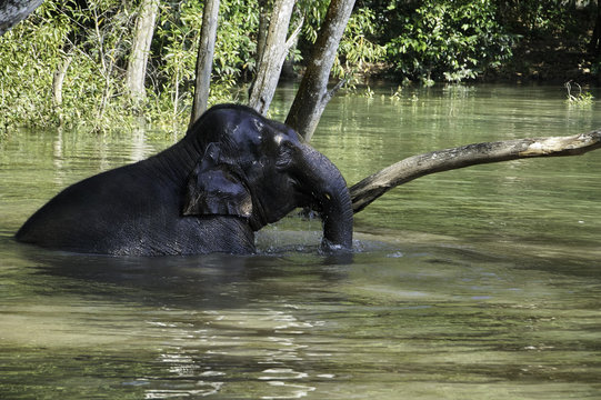 500Px Bilder – Durchsuchen 1,107 Archivfotos, Vektorgrafiken und Videos ...