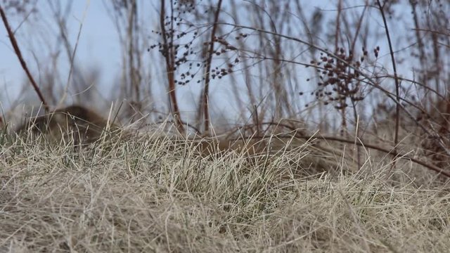 Nuisance Images – Browse 15,173 Stock Photos, Vectors, and Video ...