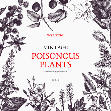 Poison Flowers