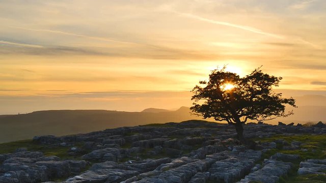 Winskill Images – Browse 846 Stock Photos, Vectors, and Video | Adobe Stock