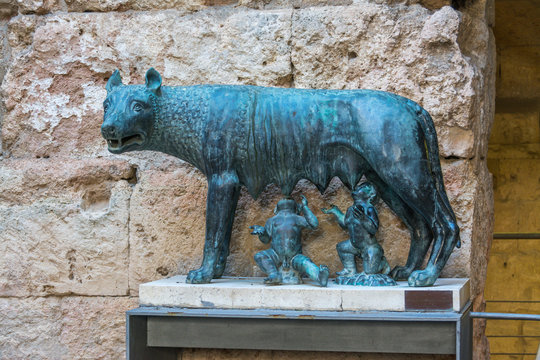 Luperca bilder – Bläddra bland 20 stockfoton, vektorer och videor ...