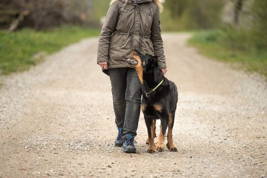 Bosseron Bilder – Durchsuchen 16 Archivfotos, Vektorgrafiken und Videos ...