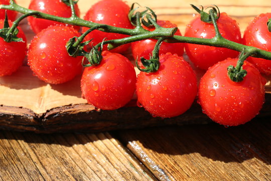 รูปภาพCherrytomate – เลือกดูภาพถ่ายสต็อก เวกเตอร์ และวิดีโอ1,099 ...
