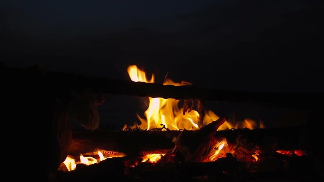 Poyke Images – Browse 195 Stock Photos, Vectors, and Video | Adobe Stock