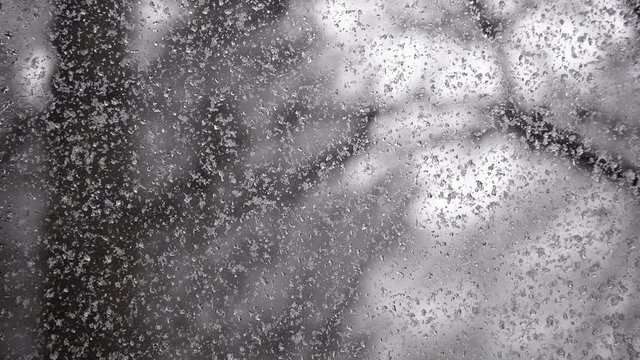 รูปภาพWhiteout – เลือกดูภาพถ่ายสต็อก เวกเตอร์ และวิดีโอ9,047 | Adobe Stock