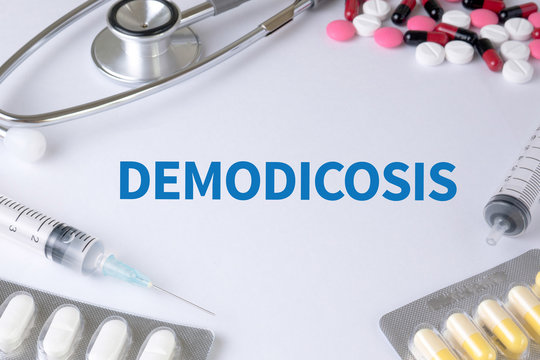 Demodicosis Images – Browse 300 Stock Photos, Vectors, and Video ...