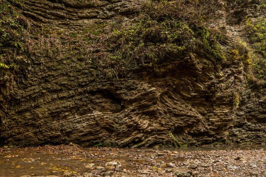 Sedimental Bilder – Durchsuchen 43 Archivfotos, Vektorgrafiken und ...