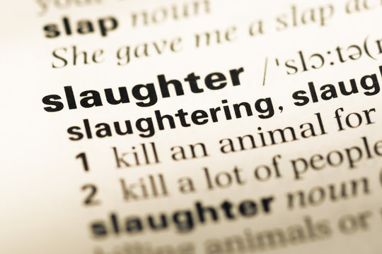 Schlachtezauber Bilder – Durchsuchen 75 Archivfotos, Vektorgrafiken und ...