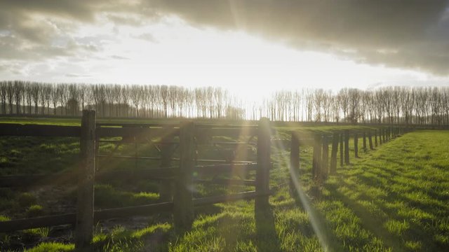 Flanders 影像 – 瀏覽 51,728 個素材庫相片、向量圖和影片 | Adobe Stock