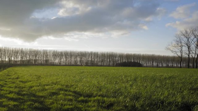 Flanders Fields Images – Browse 8,923 Stock Photos, Vectors, and Video ...