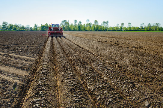 Furrow Images – Browse 849,685 Stock Photos, Vectors, and Video | Adobe ...