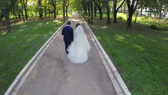 Aerial slow motion back shot of young bride and groom walking along the green alley. Happy wedding day