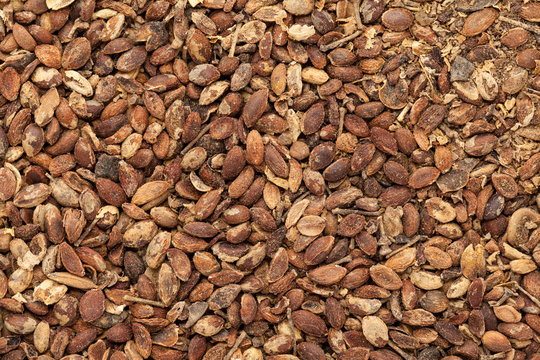 Malkangani Bilder – Durchsuchen 8 Archivfotos, Vektorgrafiken und ...