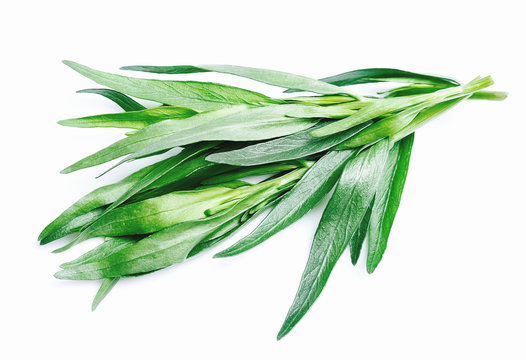 รูปภาพTarkhun – เลือกดูภาพถ่ายสต็อก เวกเตอร์ และวิดีโอ435 | Adobe Stock