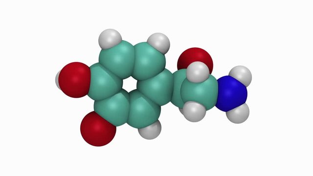 Norepinephrine bilder – Bläddra bland 2,096 stockfoton, vektorer och ...