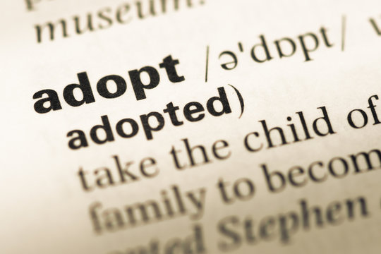 รูปภาพAdopt – เลือกดูภาพถ่ายสต็อก เวกเตอร์ และวิดีโอ495,031 | Adobe Stock