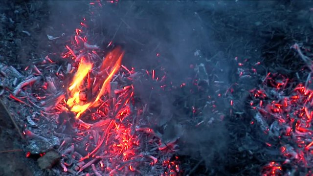 Backburning Imagens – Procure 6,315 fotos, vetores e vídeos | Adobe Stock