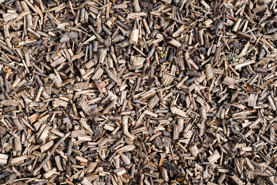 Holzsplitter bilder – Bläddra bland 379 stockfoton, vektorer och videor ...