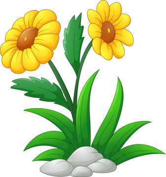 Single Flower Cartoon Images – Browse 27,367 Stock Photos, Vectors, and ...