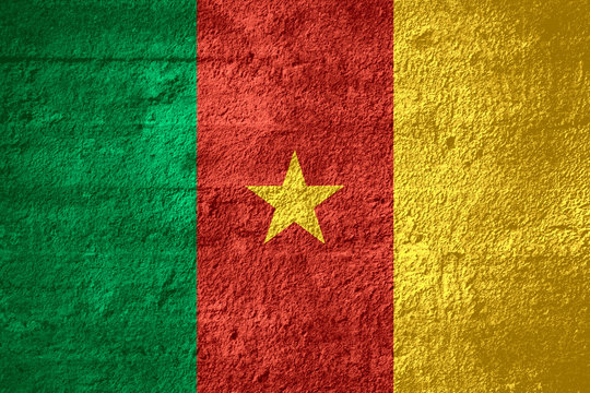 "Cameroonian Flag" Images – Browse 1,853 Stock Photos, Vectors, and ...