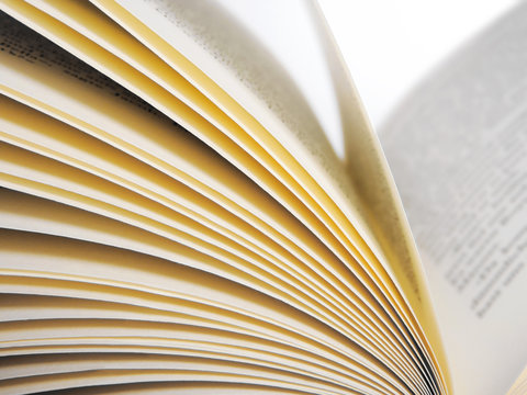 รูปภาพHandbook – เลือกดูภาพถ่ายสต็อก เวกเตอร์ และวิดีโอ39,415 | Adobe Stock