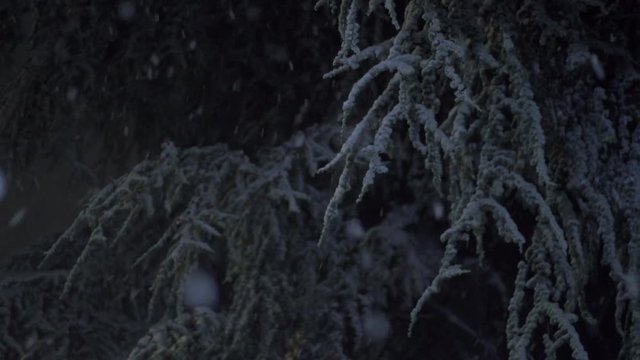 Winter Night Images – Browse 2,071,260 Stock Photos, Vectors, and Video ...