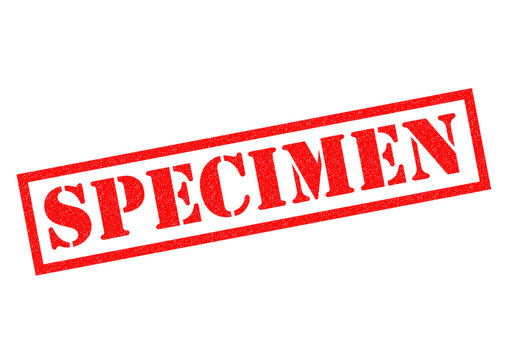 Imágenes de Specimen: descubre bancos de fotos, ilustraciones, vectores ...