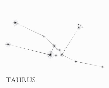 Taurus Constellation Drawing