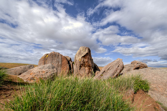 Steppengras 이미지 – 찾아보기 321 스톡 사진, 벡터 및 비디오 | Adobe Stock
