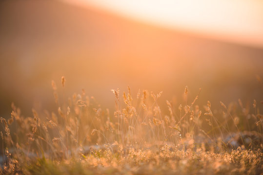 Shiling Images – Browse 15 Stock Photos, Vectors, and Video | Adobe Stock