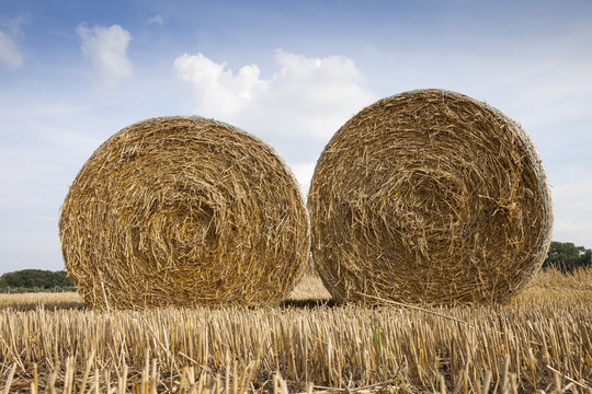 「Heurolle」の画像 - 192 件の Stock 写真、ベクターおよびビデオ | Adobe Stock