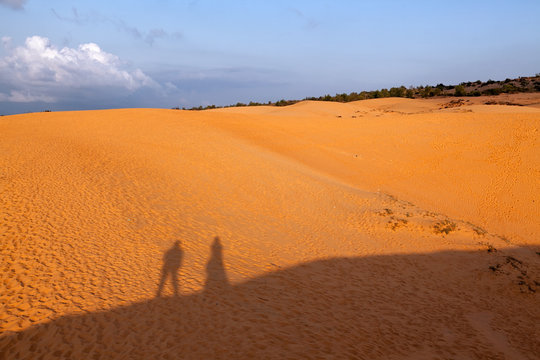 รูปภาพ"Barchan Dune" – เลือกดูภาพถ่ายสต็อก เวกเตอร์ และวิดีโอ2,600 ...