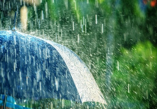 Free Rain Images – Browse 6,653 Free Stock Photos, Vectors, and Video ...