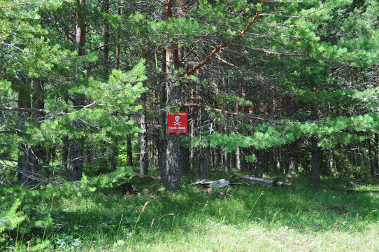 Landmine Images – Browse 5,062 Stock Photos, Vectors, and Video | Adobe ...