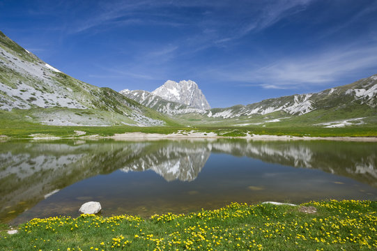 รูปภาพMeraviglia – เลือกดูภาพถ่ายสต็อก เวกเตอร์ และวิดีโอ4,650 | Adobe ...