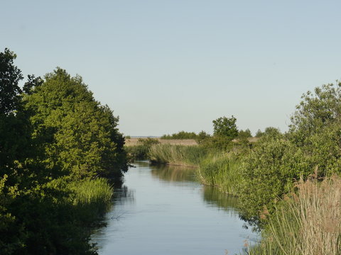 「Reda」の写真素材 | 302件の無料イラスト画像 | Adobe Stock