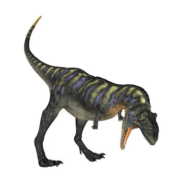 รูปภาพAucasaurus – เลือกดูภาพถ่ายสต็อก เวกเตอร์ และวิดีโอ149 | Adobe Stock