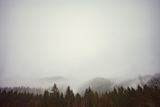 รูปภาพFog – เลือกดูภาพถ่ายสต็อก เวกเตอร์ และวิดีโอ3,605,873 | Adobe Stock