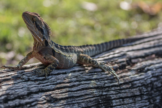 รูปภาพWasseragame – เลือกดูภาพถ่ายสต็อก เวกเตอร์ และวิดีโอ166 | Adobe Stock