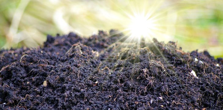 Erdhaufen-Bilder: Stock-Fotos & -Videos. | Adobe Stock