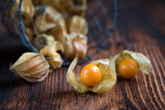 Judenkirsche bilder – Bläddra bland 379 stockfoton, vektorer och videor ...