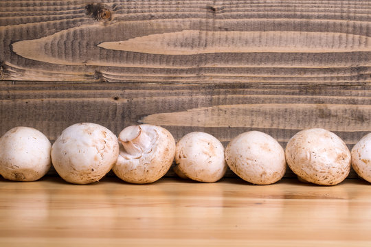 Champignons Billeder – Gennemse 174,925 stockfotos, vektorer og videoer ...