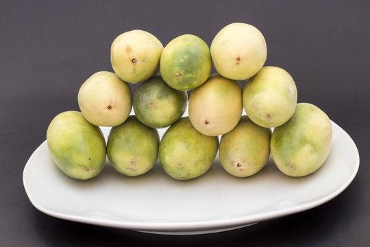 Tumbo Images – Browse 115 Stock Photos, Vectors, and Video | Adobe Stock